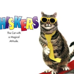 Whiskers - Rotten Tomatoes