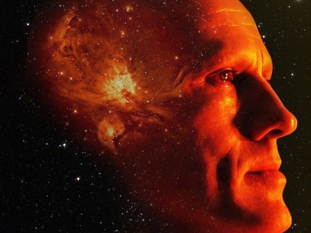 Zero Theorem Rotten Tomatoes