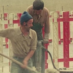 Ali in Wonderland - Rotten Tomatoes