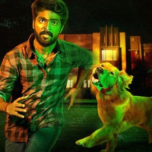 Watchman - Rotten Tomatoes