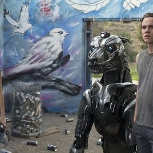 A-X-L - Rotten Tomatoes