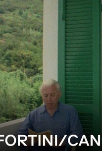 Fortini-Cani | Rotten Tomatoes