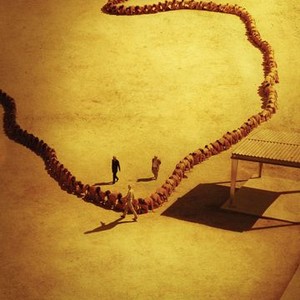 The Human Centipede III (Final Sequence) - Rotten Tomatoes