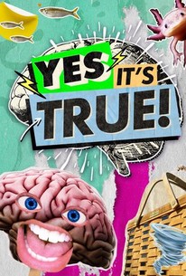 Yes It's True | Rotten Tomatoes