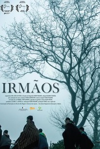 Irmãos | Rotten Tomatoes