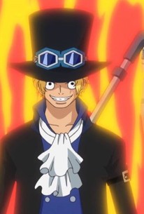 One Piece: Season 17, Episode 59 | Rotten Tomatoes