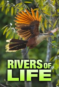Rivers of Life: Season 1 | Rotten Tomatoes