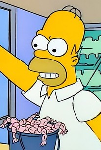 The Simpsons: Season 5, Episode 13 | Rotten Tomatoes
