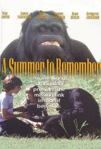 A Summer to Remember | Rotten Tomatoes