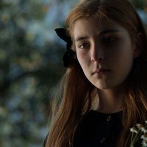 Harper - Rotten Tomatoes