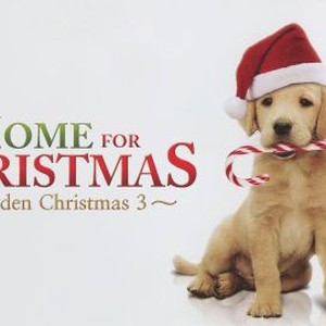 A Golden Christmas 3 - Rotten Tomatoes