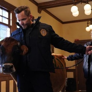 Animal Control: Season 1, Episode 5 - Rotten Tomatoes