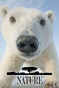 Nature: Season 35 | Rotten Tomatoes