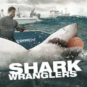 Shark Wranglers: Season 1, Episode 9 - Rotten Tomatoes