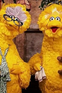 Sesame Street: Season 48, Episode 26 | Rotten Tomatoes