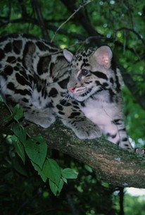 Growing Up ...: Season 1, Episode 8 | Rotten Tomatoes