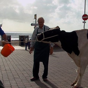 The Moo Man - Rotten Tomatoes