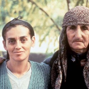 Nur Surer - Rotten Tomatoes