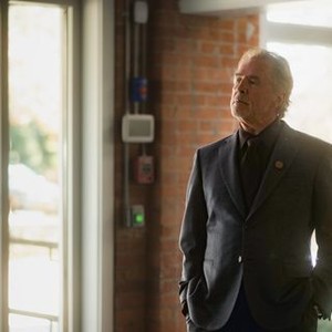 The Collective - Rotten Tomatoes