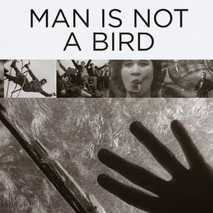 Man Is Not a Bird - Rotten Tomatoes