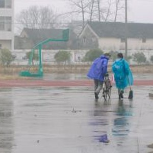 Confetti - Rotten Tomatoes