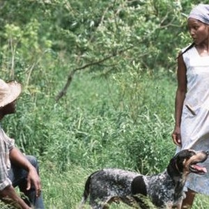 Sounder - Rotten Tomatoes