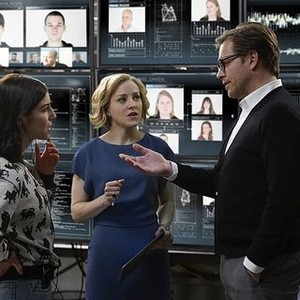 Bull - Rotten Tomatoes
