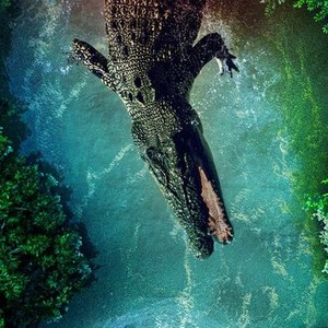 Saltwater: The Battle for Ramree Island - Rotten Tomatoes