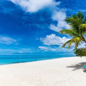 Caribbean Life: Season 19, Episode 10 - Rotten Tomatoes