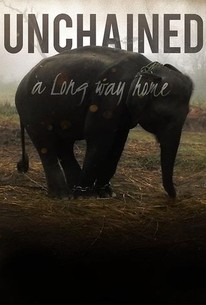 Unchained | Reviews | Rotten Tomatoes