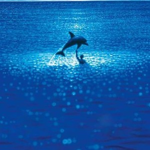 The Big Blue - Rotten Tomatoes