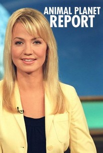 Animal Planet Report | Rotten Tomatoes