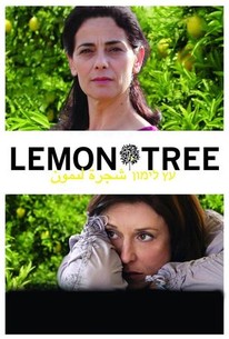 Lemon Tree | Rotten Tomatoes