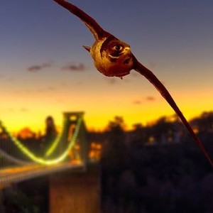 Unnatural Selection - Rotten Tomatoes