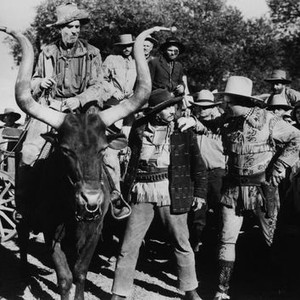 Frank Rice - Rotten Tomatoes