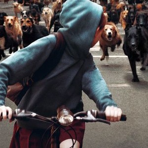 White God (2015) - Rotten Tomatoes