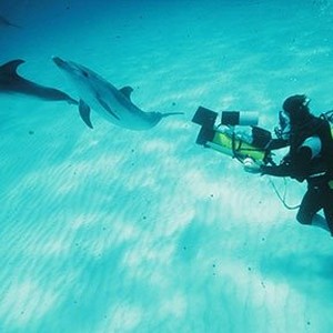 Diving Deep: The Life and Times of Mike deGruy - Rotten Tomatoes