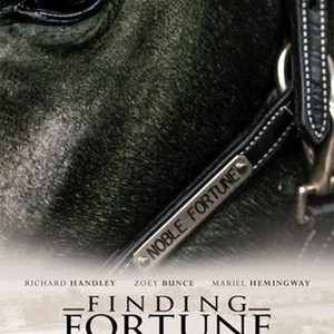 Finding Fortune - Rotten Tomatoes