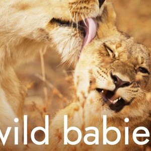Wild Babies - Rotten Tomatoes