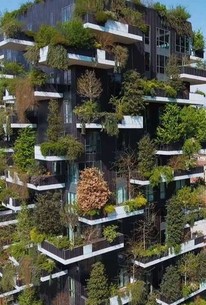 How Did They Build That?: Season 1, Episode 4 | Rotten Tomatoes