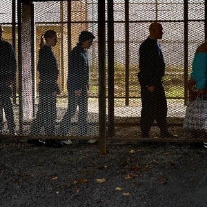 Illegal - Rotten Tomatoes