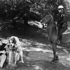 John Larch - Rotten Tomatoes