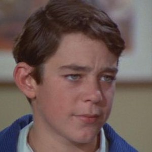 The Brady Bunch: Season 1, Episode 15 - Rotten Tomatoes