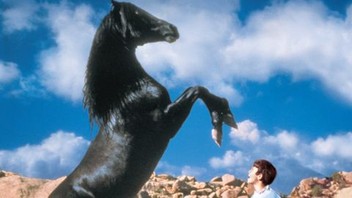 The Black Stallion Returns 1983 Film