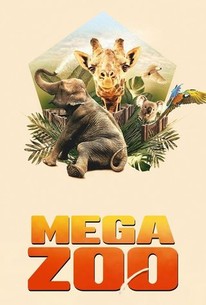Mega Zoo: Season 1 | Rotten Tomatoes