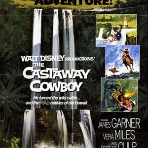 The Castaway Cowboy - Rotten Tomatoes
