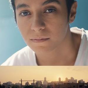 Shams - Rotten Tomatoes