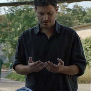 Homeward - Rotten Tomatoes