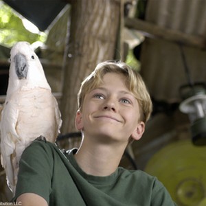 Benji: Off the Leash! - Rotten Tomatoes