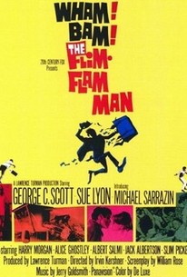 The Flim-Flam Man (1967) - Rotten Tomatoes